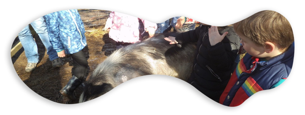 About Us - Burnham Copse Primary School